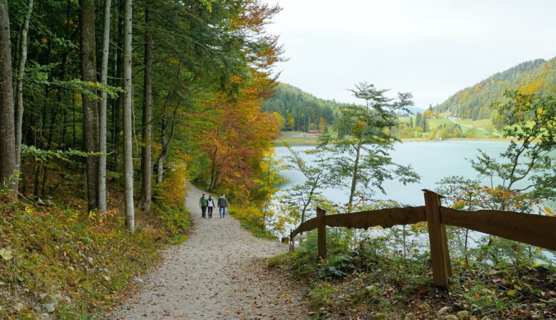 Sucha Beskidzka - atrakcje, co warto zobaczyć? - ZBUDUJEMY BASEN TWOICH MARZEŃ